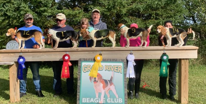 Grand River Beagle Club Oct. 1, 2022 - Canadian Beagler