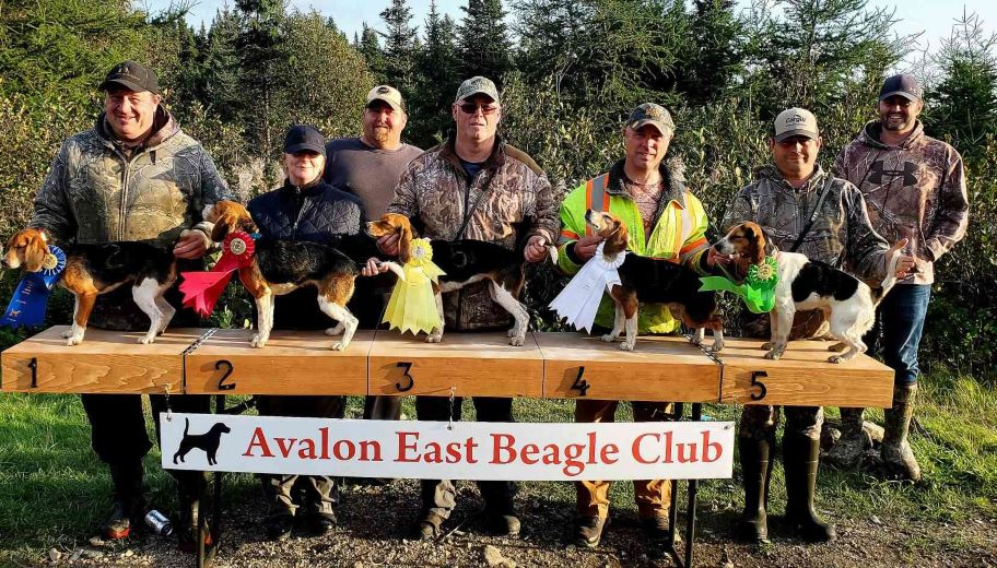 Avalon Beagle Club Sept 2023 - Canadian Beagler