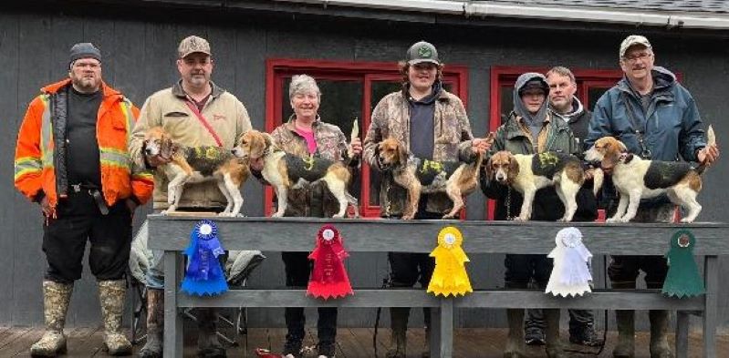 Ottawa Valley Beagle Club April 2024 - Canadian Beagler
