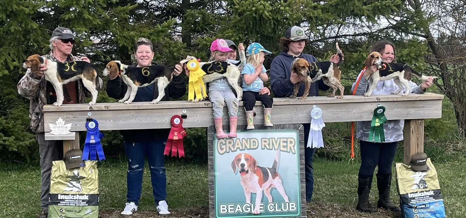 Grand River Beagle Club May 2025 - Canadian Beagler