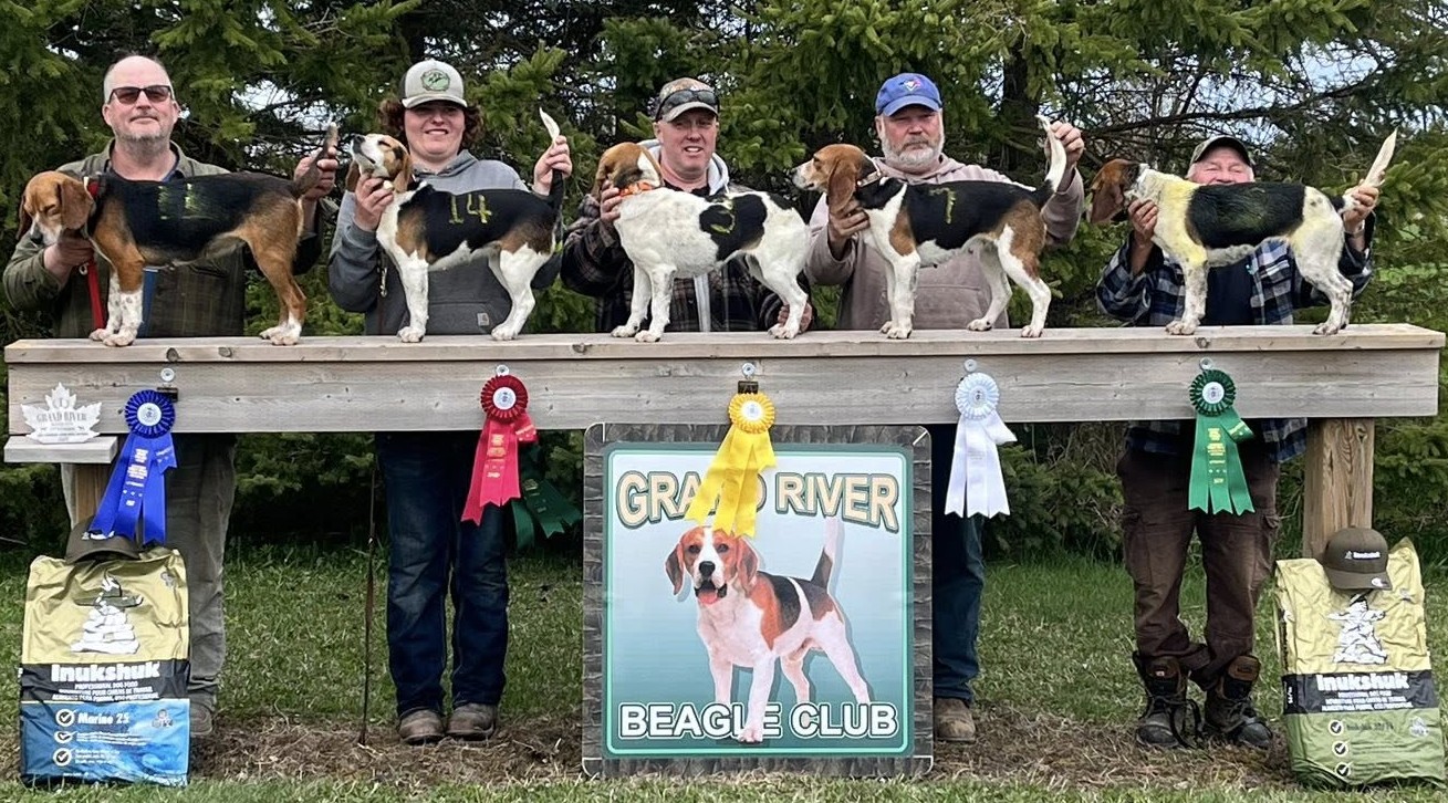 Grand River Beagle Club May 2025 - Canadian Beagler