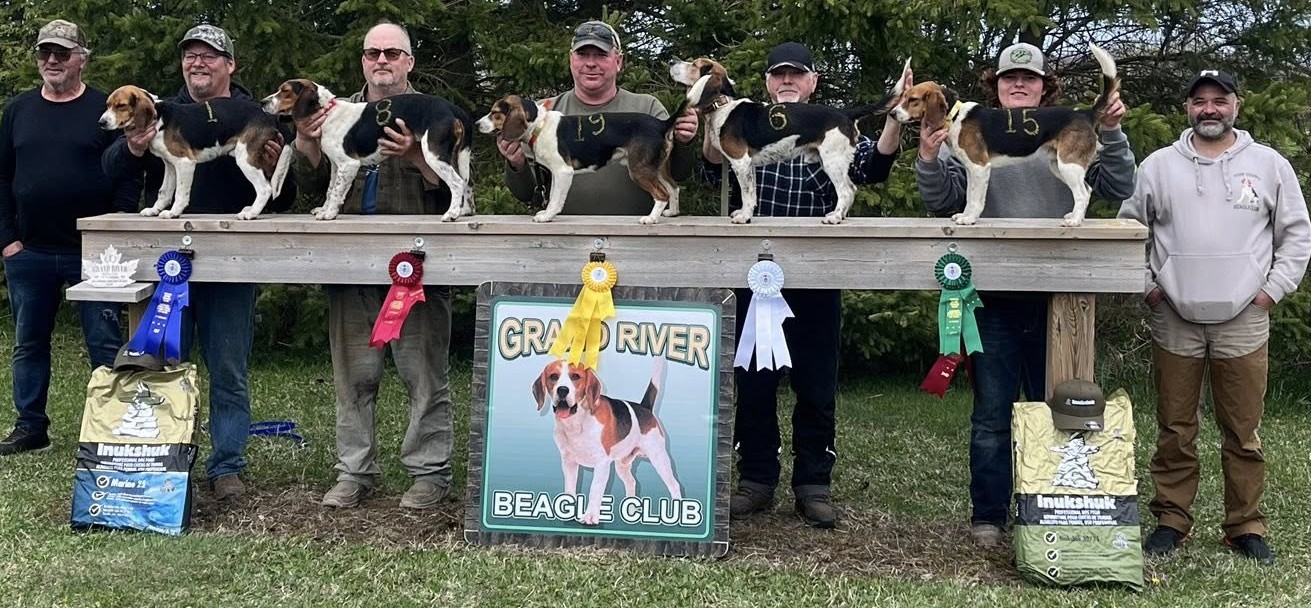Grand River Beagle Club May 2025 - Canadian Beagler