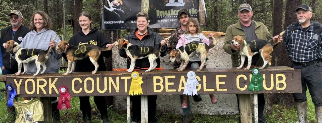 York County Beagle Club May 17 - 18, 2025 - Canadian Beagler